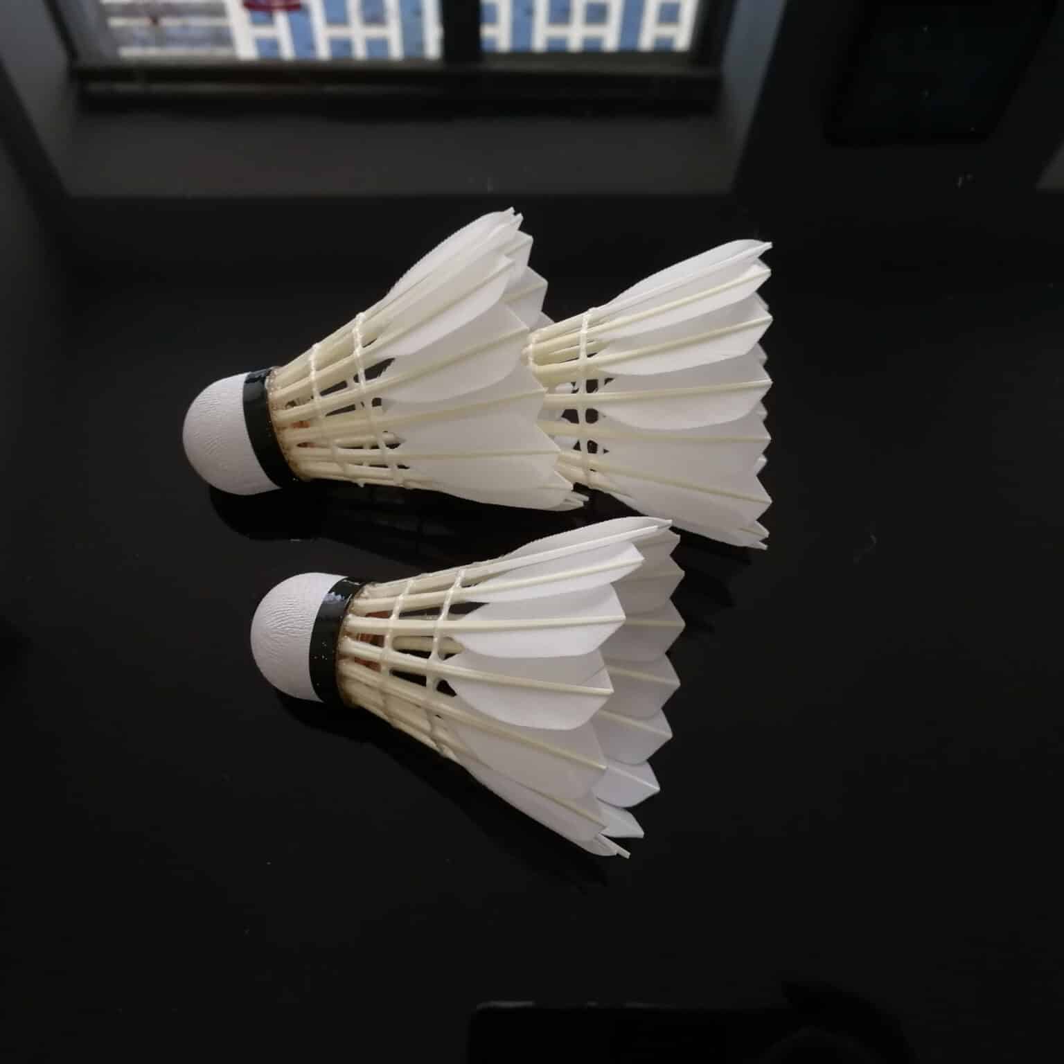 10 Jenis Shuttlecock Terbaik